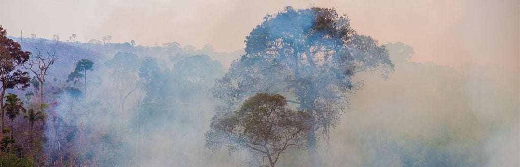 ESG Engagement and Fixed Income Portfolios - Nordea Investisseur ...