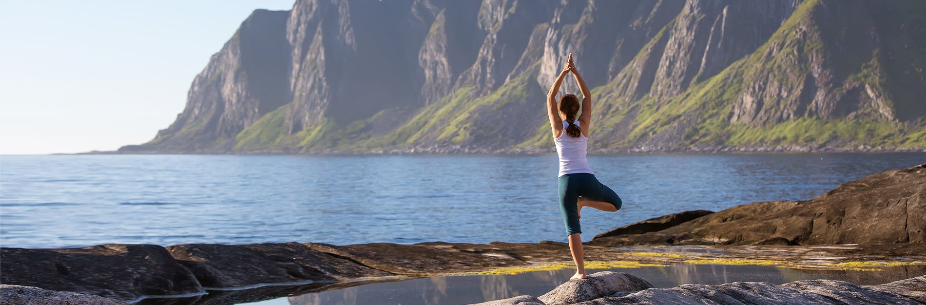 Flexible Fixed Income Fund - Nordea Professional investor