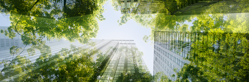 Investing in Transformation: How Institutional Capital Can Drive Decarbonisation - Nordea ...